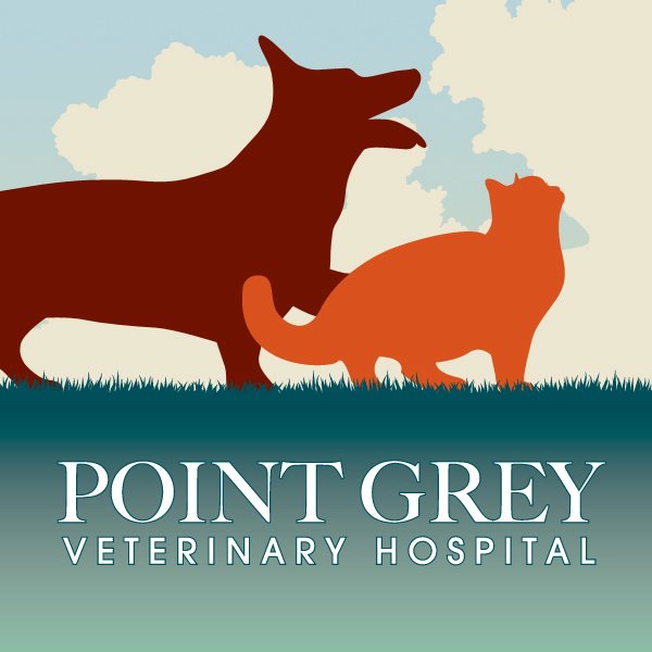 Point Grey Veterinary Hospital - Vancouver, BC | Vancouver Local