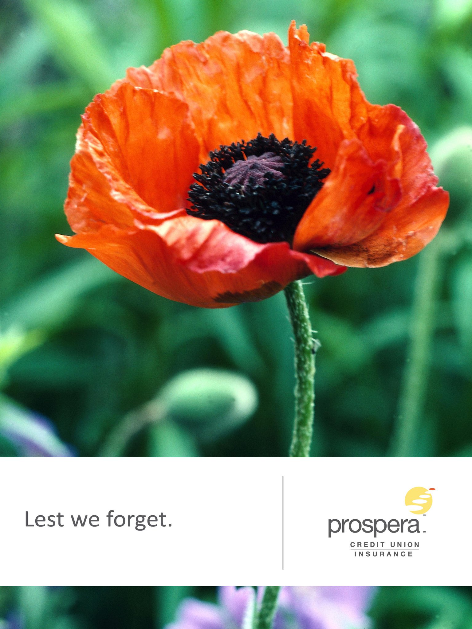 Prospera Credit Union - Mission, BC | Vancouver Local